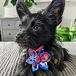 H&K Pet Pinwheel | American Tie Dye (Small) | 4th of July Velcro Collar Accessory for Dogs/Cats | Fun Pet Pinwheel Collar Attachment | Cute, Comfortable Pet Accessory