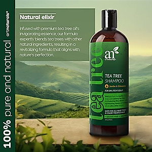 Artnaturals Tea Tree Shampoo - (16 Fl Oz / 473ml) - Sulfate Free – Made with 100% Pure Therapeutic Grade Tea Tree Essential Oil