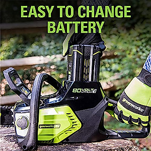 Greenworks Pro 80V 16" Brushless Cordless Chainsaw with 2.0Ah Battery & Charger Included (CS80L211)