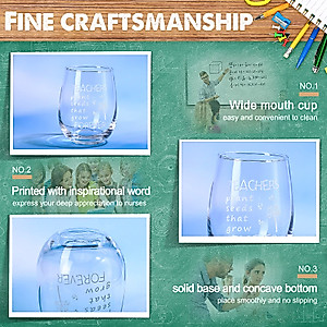 Patelai Teacher Appreciation Gift Teachers Plant Seeds That Grow Forever Wine Glass, Novelty Stemless Wine Glass for Women Friend Coworker, Inspirational Birthday graduation Thank You Gift, 15 Oz