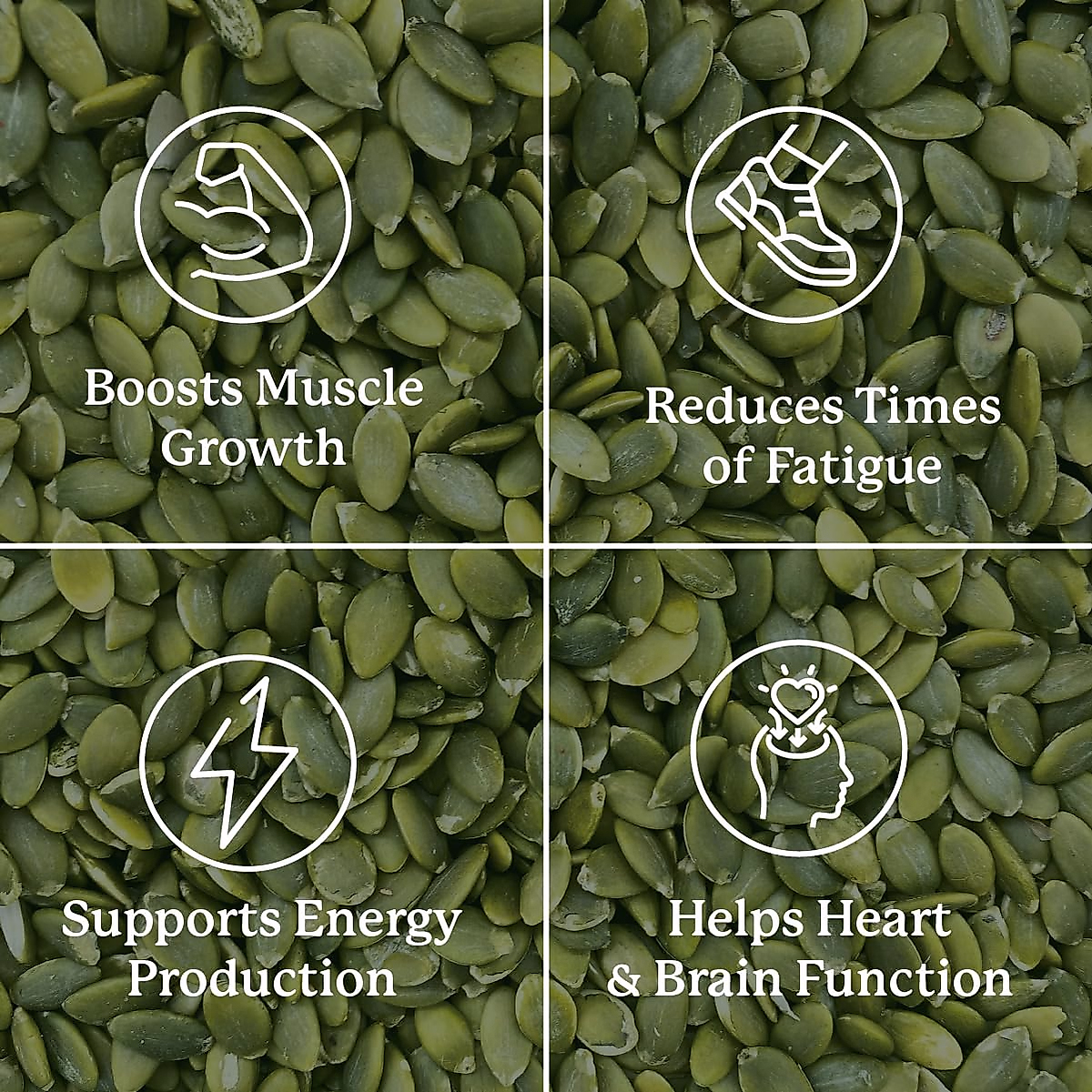 Nature’s Sunshine Magnesium Complex - High Potency Magnesium Supplement with Citrate & Malate for Relaxation, Optimal Absorption, Muscle Function, Energy Production - 50 Servings (100 Capsules)