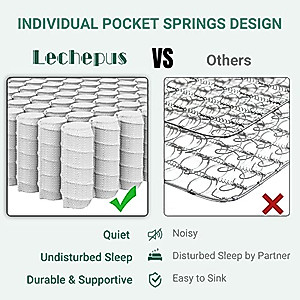 14 Inch Queen Mattress, Lechepus MDI Memory Foam Hybrid Mattresses with Individual Pocket Spring, Medium Plush Comfy Mattress in a Box for Cool Sleep & Pressure Relief
