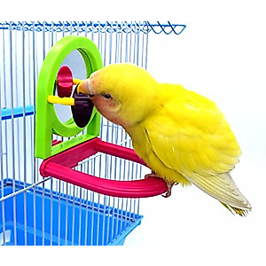 Bird Mirror Toys with Paddle Wheels and Perch for arrot Budgies Parakeet Cockatiels Conure Lovebirds