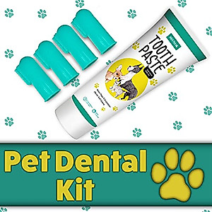 H&H Pets Dog Toothbrushes and Toothpaste Best Professional Cat & Dog Finger Tooth Brush, Dog Brush Set, Perfect for Dogs and Cats, Dog Supplies - Size Small 4 Count 3.5 Oz Toothpaste (100g)