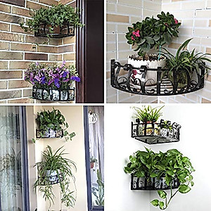 FOYO Floating Corner Shelves for Flower Plants, Metal Kitchen Corner Shelf Stand Pack of 2 (Middle Size-9'')