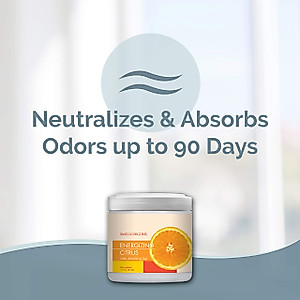 SMELLS BEGONE Air Freshener Odor Absorber Gel - Absorbs Odor from Bathrooms, Cars, Pet Areas, Boats & RVs - Made with Essential Oils - Energizing Citrus Scent - 15 Ounce