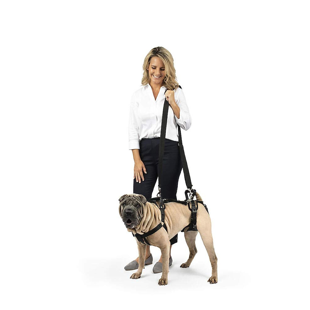 PetSafe CareLift Support Harness - Full Body Lifting Aid with Handle - Great for Pet Mobility and Older Dogs - Comfortable, Breathable Material - Easy to Adjust, Medium