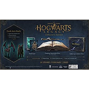 Hogwarts Legacy Collector's Edition - Xbox Series X