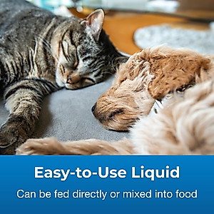 Pet-Ag Pet Pectillin Anti-Diarrheal - 4 oz, Pack of 3 - Helps Relieve Diarrhea or Loose Stool in Dogs and Cats - Replaces Lost Electrolytes - Easy to Administer