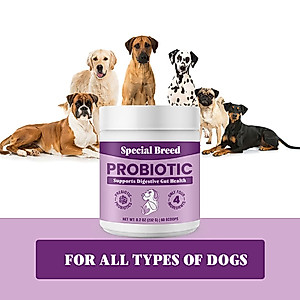 Special Breed Probiotic Powder for Dogs - Probiotics Digestive Supplement with Bone Broth for Your Dog, Supports Healthy Pet Digestion, 8.2 oz