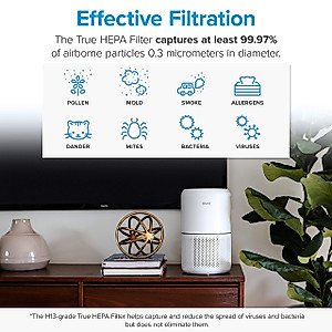 LEVOIT Air Purifier and Replacement Filter Bundle for Home Allergies and Pets