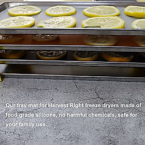 PIAOLGYI Tray Mats for Harvest Right Freeze Dryer Medium Trays,Silicone Accessories Compatible with Harvest Right Freeze Dryer Medium Trays(Green)
