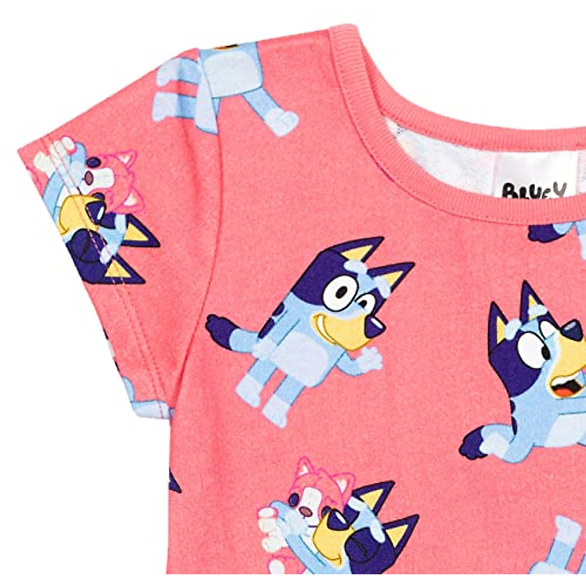 Bluey Toddler Girls Skater Dress Pink 5T