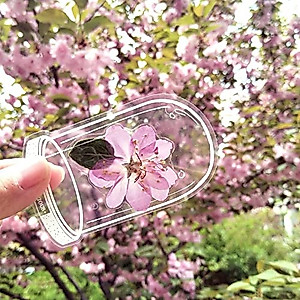 30pcs Dried Flower Bookmark ,Transparent Flower Bookmarks Floral Page Label, Perfume Bottle DIY Dried Flower Page Clips with 236 inch of Lace Trim, Flower Bookmark Maker Specimen for Home School Book