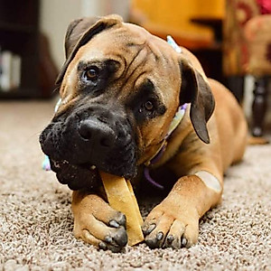 Chewmeter Himalayan Yaky Cheese Chew, 100% Natural, Long Lasting, Gluten Free, Healthy Dog Treats, Lactose & Grain Free, Stain Free, X-Large, For Dogs 55 Lbs & Over, 3 lb Bulk Tub, Packaging May Vary