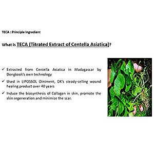 DONGKOOK CENTELLIAN 24 Micro Serum 50ml/1.69fl oz with TECA Tech. K-beauty