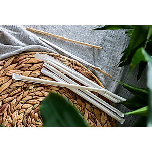AGAVE FIBER STRAWS - 500ct Individually Wrapped Biodegradable 8.2" Straws by Ecoware. Plant Based, Eco-friendly, 100% Recyclable, Alternative to Paper & Plastic Straws