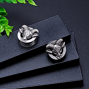 COOEAR Eyelet Ear Plugs Stainless Steel Tunnels Screw back Gauges Sheep Stretcher Expander Earrings Size 2g to 1 inch.