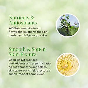 Tata Harper Nourishing Oil Cleanser, Multi-Vitamin Cleansing Oil & Makeup Remover, 100% Natural, Made Fresh in Vermont, 125ml