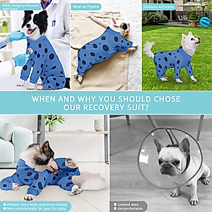 Comwish Dog Surgery Suit Long Sleeve, Dog Recovery Suit Female Male with Zipper Closure Post Spay, Neuter, Dog Onesie Shedding Suit Full Coverage Bodysuit (Blue, S)