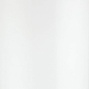 Westinghouse 7225100 Carla Indoor Ceiling Fan with Light and Remote, 46 Inch, White