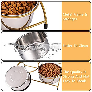 Trosetry Raised Cat Bowls, Double Stainless Steel Cat Food Bowls Non-Slip Elevated Pet Feeder with 15°Tilted Neck Protective Bowl for Puppy Cats and Small Dogs Food and Water Feeding