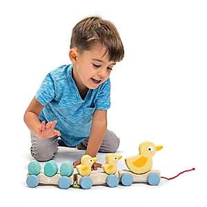 Tender Leaf Toys - Pull Along Ducks - Classic Wooden Pull Along Toy - 9pc Duck Family Set with 1 Mother Duck, 2 Baby Ducks, 3 Eggs and 3 Cars - Encourages Number Learning - 18Mths+
