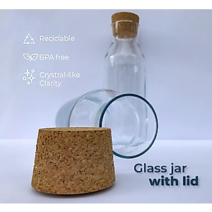 2 Clear Glass Carafe (34 Oz) With Cork Stopper - Hot and Cold Water Pitcher – Tea - Coffee Maker - Iced Tea - Wine Carafe - Juice Carafe - Glass Food Carafe - Cereal - Rice - Lentil - Beans.