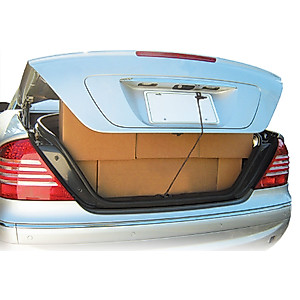 PROGRIP 502420 Cargo Tie Down Accessories: Cleat with 9' of Paracord for Trunk