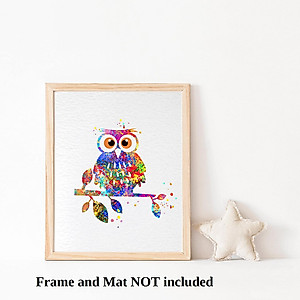 Dignovel Studios 8X10 Unframed Owl Watercolor illustrations Art Print Poster Wildlife Animal Bird N105