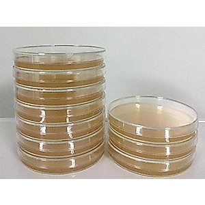 Malt Extract Agar Plates - Great for Mushrooms, Molds, Fungus - 5 Prepoured MEA Petri Dishes (5)