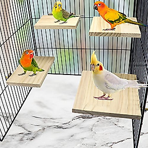 2pcs Bird Perch Platform Flat Stand Beak Paw Grinding Wood for Parrot Parakeet Cockatiel Lovebird Conure Finch Budgie