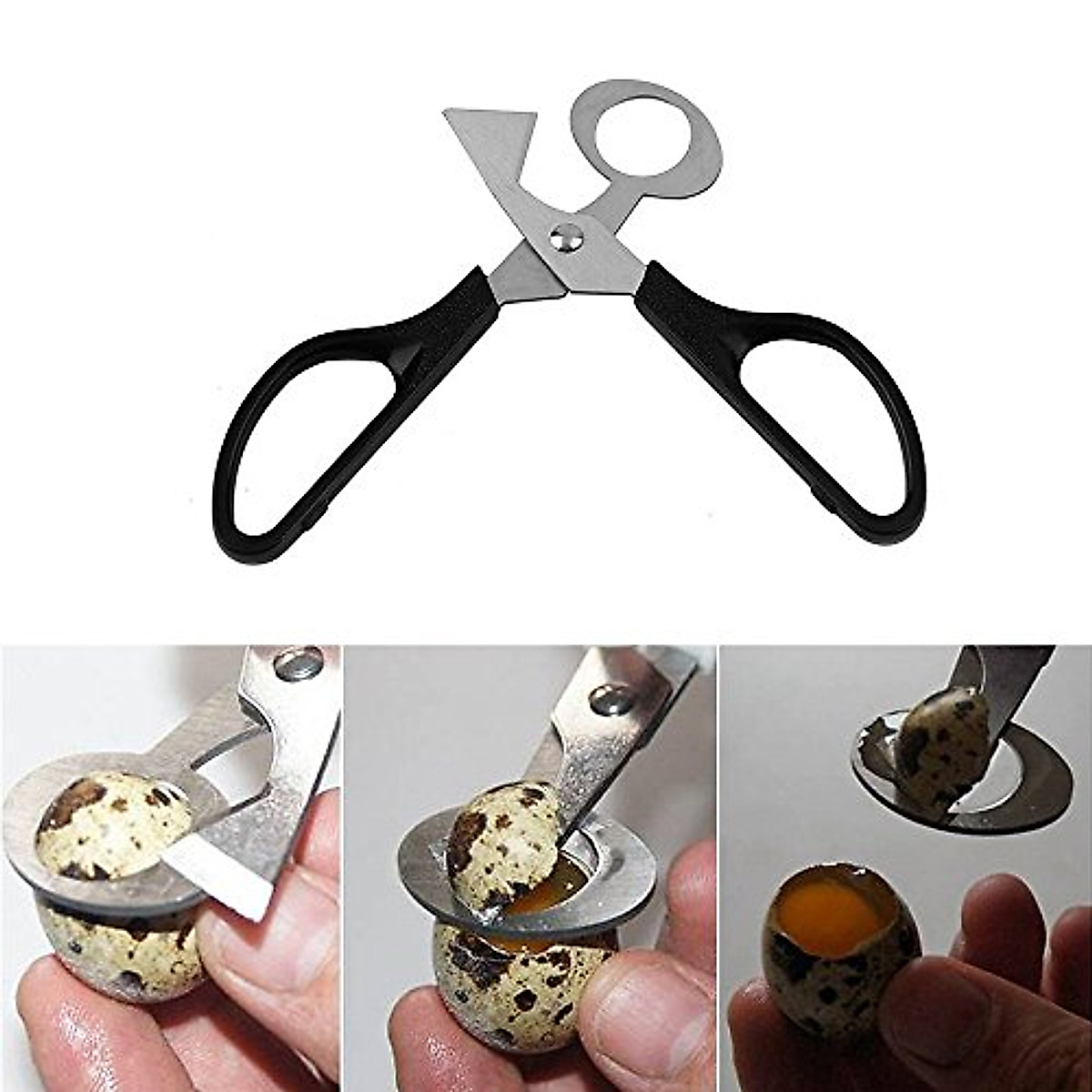 Adecco LLC Pigeon Quail Egg Cutter Scissors Stainless Steel Blades Bird Cutter 2 Pack (Quail Egg Scissor)