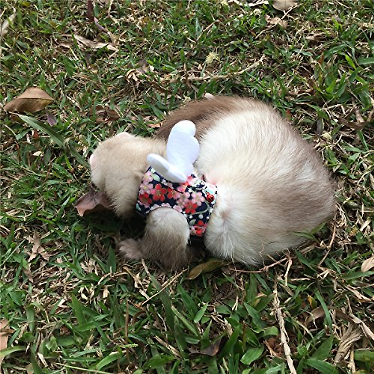 Ferret Harness and Leash Adjustable, Blue Sakura Cotton Cloth Ferret Walking Vest, Soft and Breathable Ferret Lead Leash with Angel Wings and Safe Bell