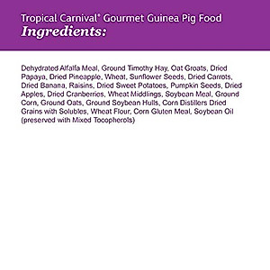 F.M. Brown's Tropical Carnival Gourmet Guinea Pig Food with Alfalfa and Timothy Hay Pellets - Vitamin-Nutrient Fortified Daily Diet - 5lb