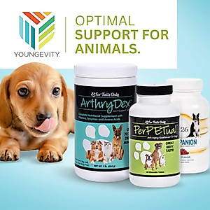YOUNGEVITY Arthrydex Complete Nutritional Supplement | Vitamins Probiotics Enzymes | Pets Healthy Bones & Joints -1 lb Canister (Pack of 2)