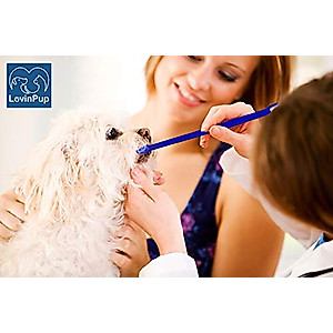 LovinPup Dog Toothbrush Set, Professional Dog and Cat Grooming Supplies, Best Soft Bristle Toothbrush, Pack of 2 Double Sided Toothbrushes for Large and Small Dog Teeth