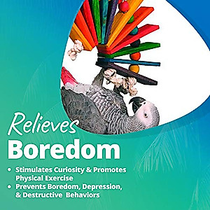 Super Bird Creations SB702 Peacock Sr. Bird Toy, Large Bird Size, 14” x 11” x 1.5”