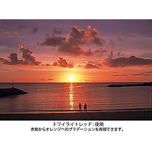 Kenko 52mm Twilight Red Multi-Coated Camera Lens Filters