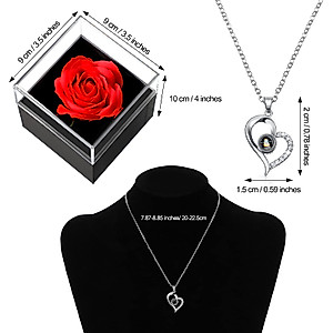 Hicarer Necklace Gift for Girlfriend I Love You in 100 Languages Projection Necklace with Preserved Red Real Rose Flowers in Box for Women Mom Wife on Mother's Day, Anniversary(Silver)