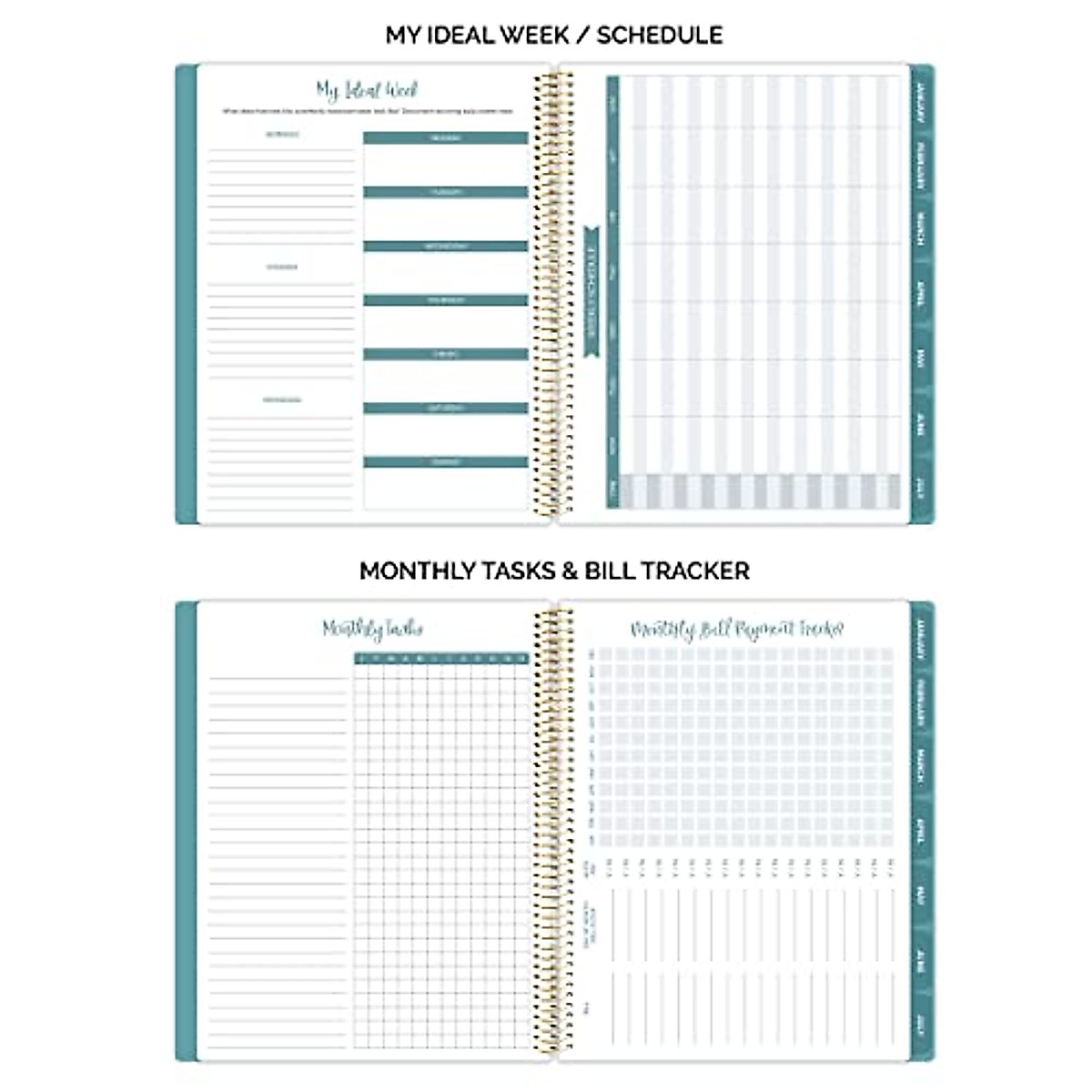 bloom daily planners All in One Ultimate Monthly & Weekly Undated Calendar Planner, Notebook, Sketch Book, Grid Pages, Coloring Book and More! 9" x 11" - Interchangeable Cover