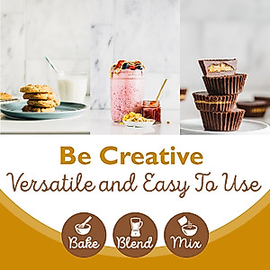 PB2 Powdered Peanut Butter Bundle, Keto Diet, Gluten Free, Mix in Protein Shakes & Smoothies, Low Carb, Original Peanut Butter & Peanut Butter Cocoa Flavors (2 Jars - 6.5 Oz Each)