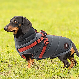 NASKEE Warm Dog Winter Coat Cozy Waterproof Windproof Dog Outdoor Jacket, Adjustable Pet Vest with Harness & D Rings, Thick Polar Fleece Lining, for Small Medium Large Dogs