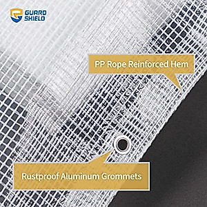 GUARD SHIELD Clear Tarp 2 Pack Bundle White and Green 8x20 Feet Heavy Duty Waterproof Greenhouse Outdoor Garden Poly Cover UV Resistant 10mil