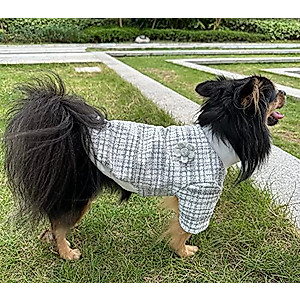 MESHEEN Elegant Premium Dog Shirt for Puppy and Cat Made of Soft Breathable Stretch Customized Fabric, Dog Clothes Use Mid Collar Short Sleeve Design Make Your Pet More Cute and Fashion