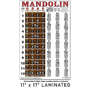 Laminated Mandolin Fretboard Notes & Easy Beginner Chord Chart 11"x17" Instructional Poster by A New Song Music