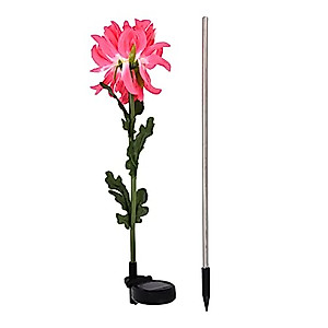 Yuehuam Solar Garden Stake Lights, Solar Powered Flower Garden Lights Decorative Pathway Light Outdoor Waterproof for Flowerbed Garden, Patio, Backyard Decoration(Red)