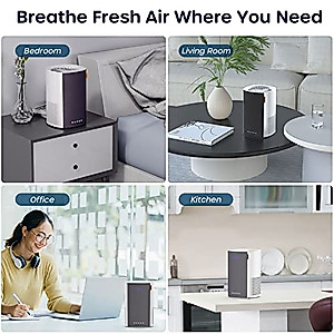 Air Purifiers for Bedroom Home, ECOWELL HEPA H13 Filter Air Purifiers for Home Large Room Office Living Room, Small Air Purifier for Pet Dander Odors Smokers Pollen Dust, Air Cleaner with Sleep Mode