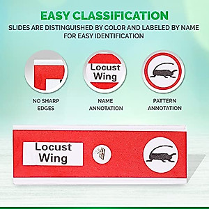 AMSCOPE-Kids 48pcs Kids Plastic Prepared Microscope Slides of Animals Insects Plants Flowers Sample Specimens for Stereo Microscopes