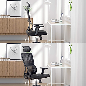 Ergonomic Office Chair with Upgraded Lumbar Support and Adjustable Armrest Headrest, Desk Chair with Mesh High Back, Home Office Desk Chair, Computer Chair, Rolling Chair